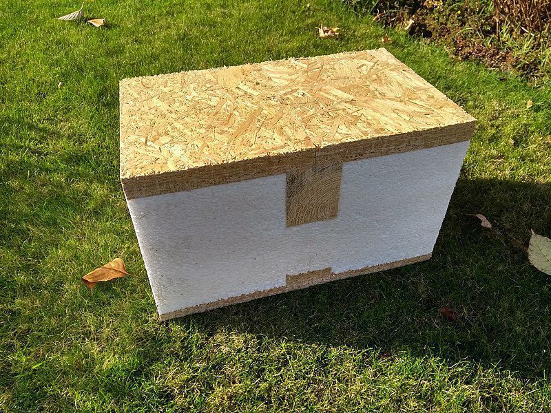 How sustainability influences my work: Interview with alumnus Phoebe ...