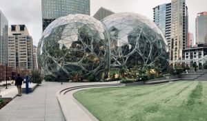 What is biophilic architecture? 15 real-world examples in the built ...